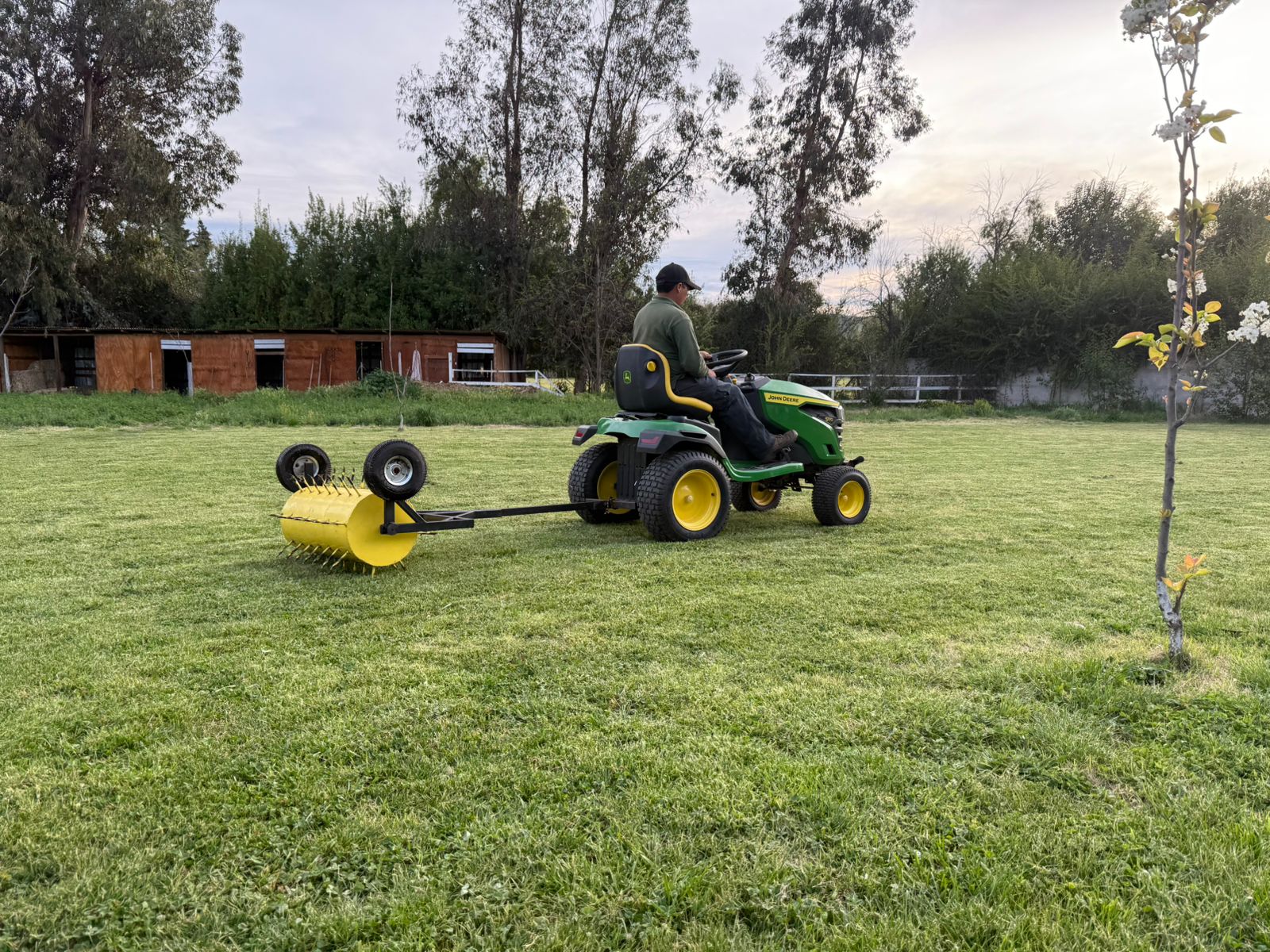 ¿Por qué es importante airear tu césped? 🌱