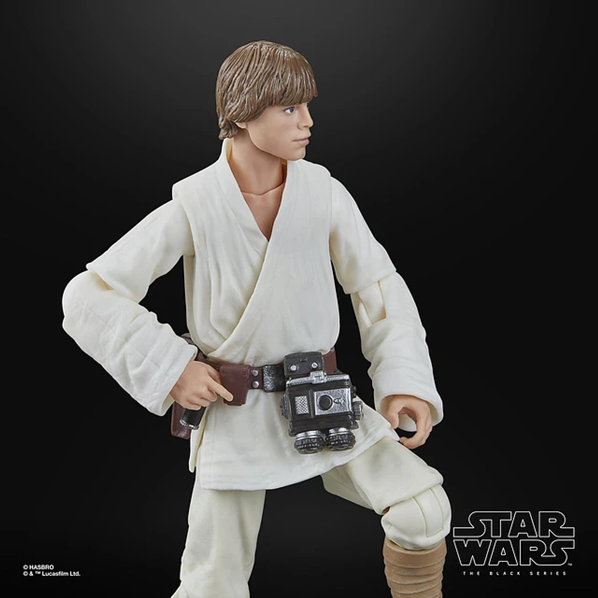 (Preventa) Luke Skywalker: A New Hope - The Black Series
