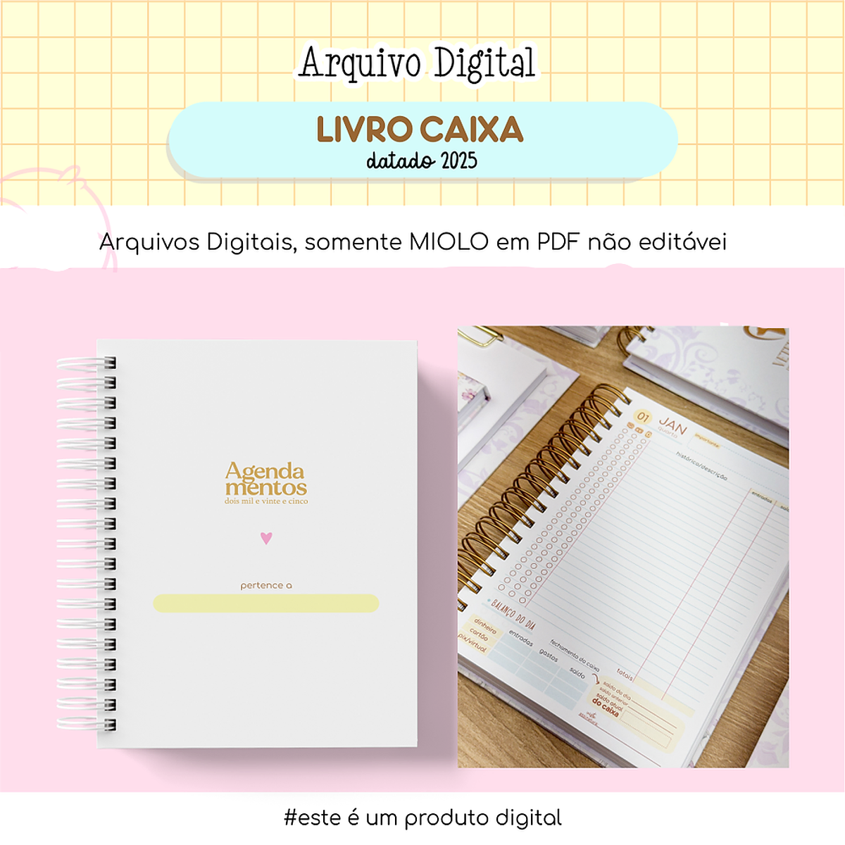 Arquivo Miolo Livro Caixa 2025 - Studio g19