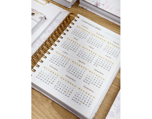 Arquivo Miolo Livro Caixa 2025 - Studio g19