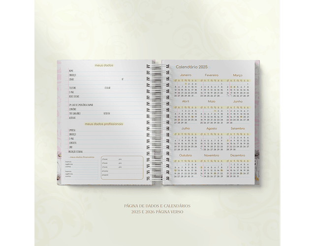 Arquivo Miolo Livro Caixa 2025 - Studio g19