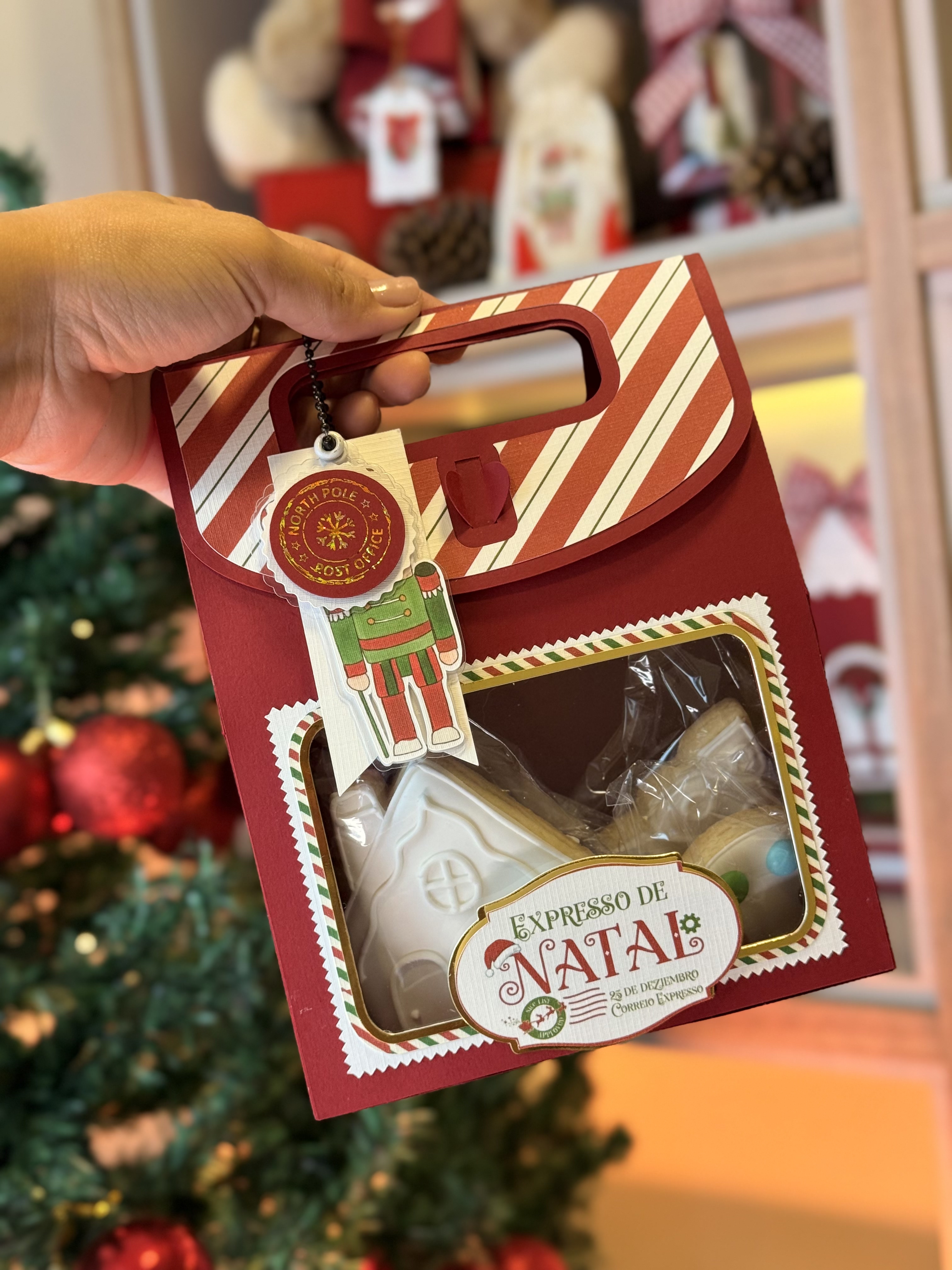 Arquivo Natal Caixa Visor Expresso - Sublime