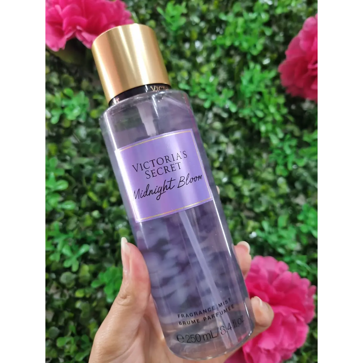 MIDNIGHT BLOOM EDICION 2022