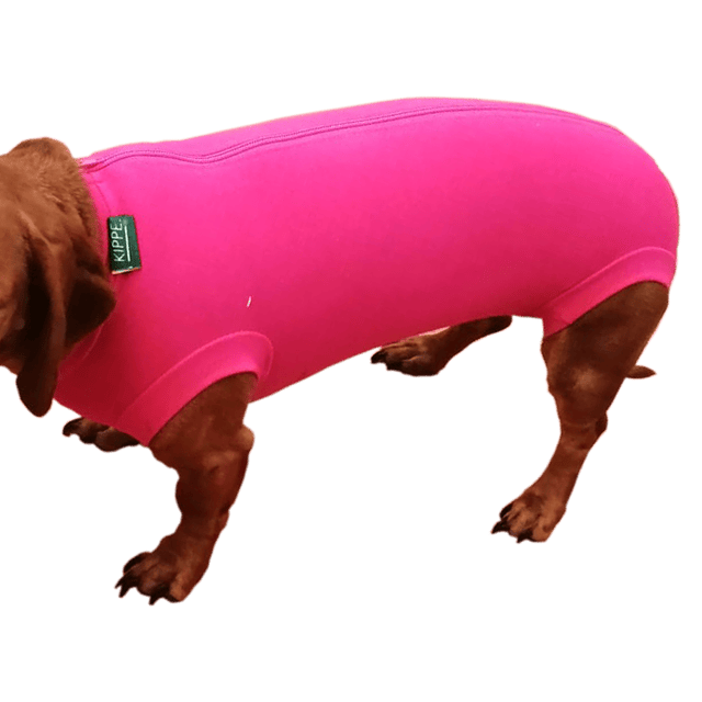 Body`s Post-Operatorio para Mascotas.