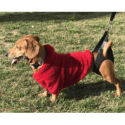 KIPPE Ortopédicos para Mascotas.