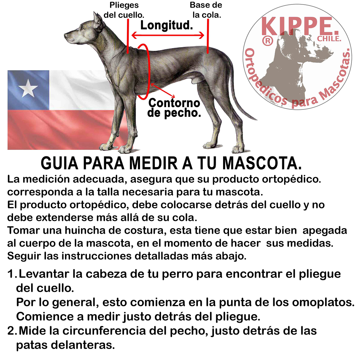 Soporte para Espaldas en Perros Kippe.