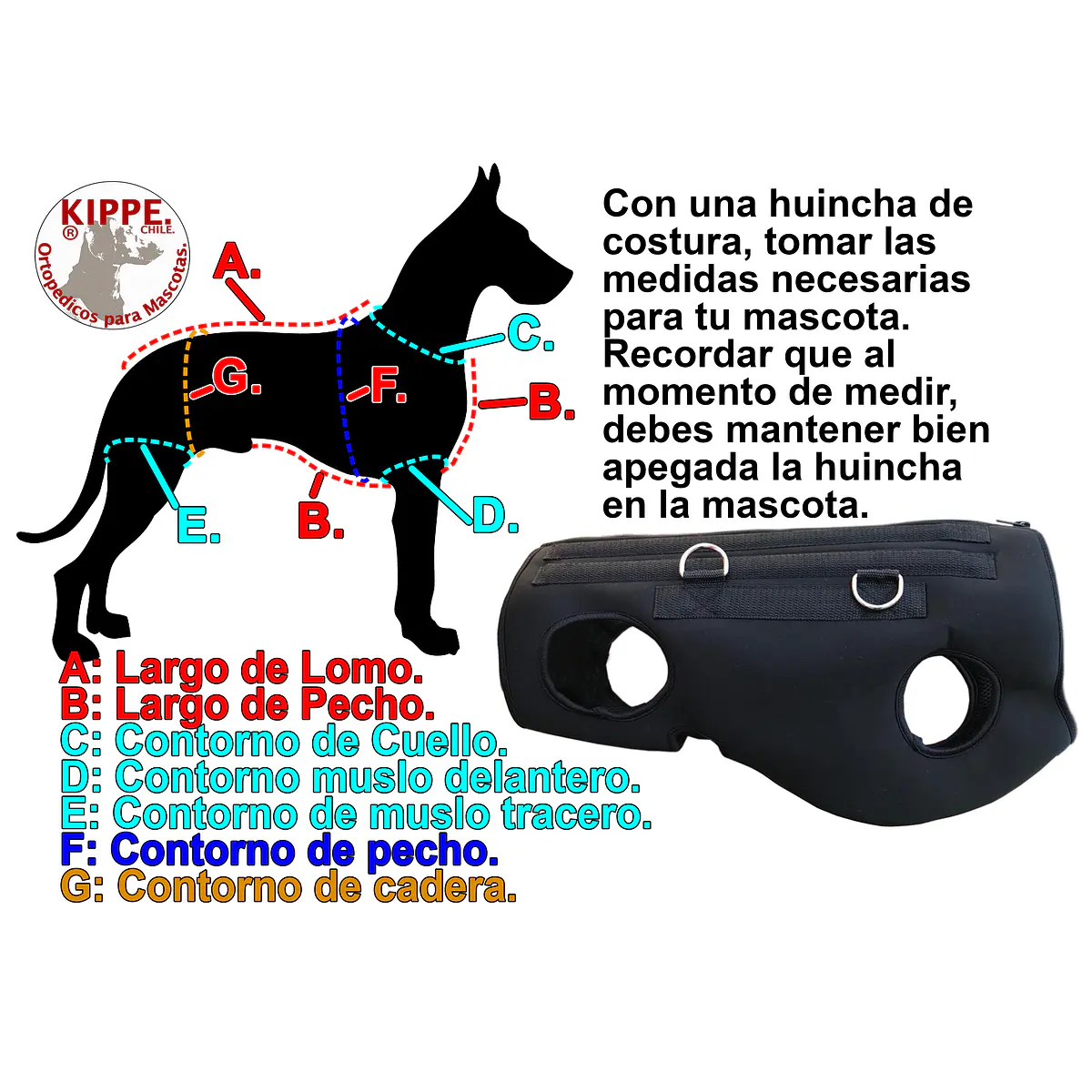 BODY`S ORTOPEDICO KIPPE.