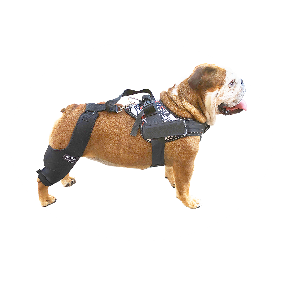 PROTECTOR DE RODILLA PARA MASCOTAS.