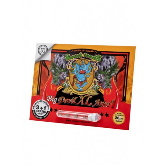 Auto Big Devil XL x3 sweet seeds / Semillas cannabis