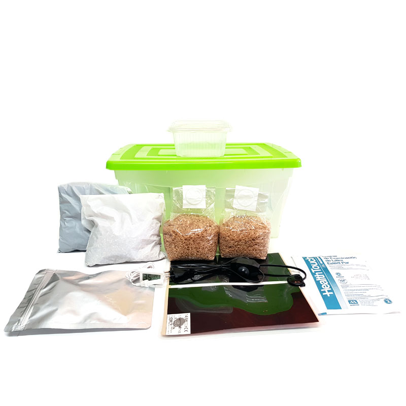Kit cultivo fungi MED