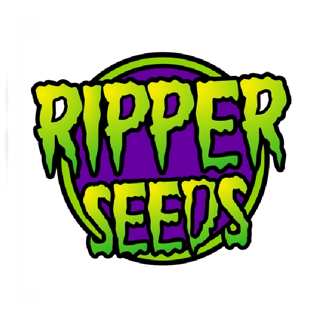 Sour Ripper / Ripper Seeds / semillas de Cannabis