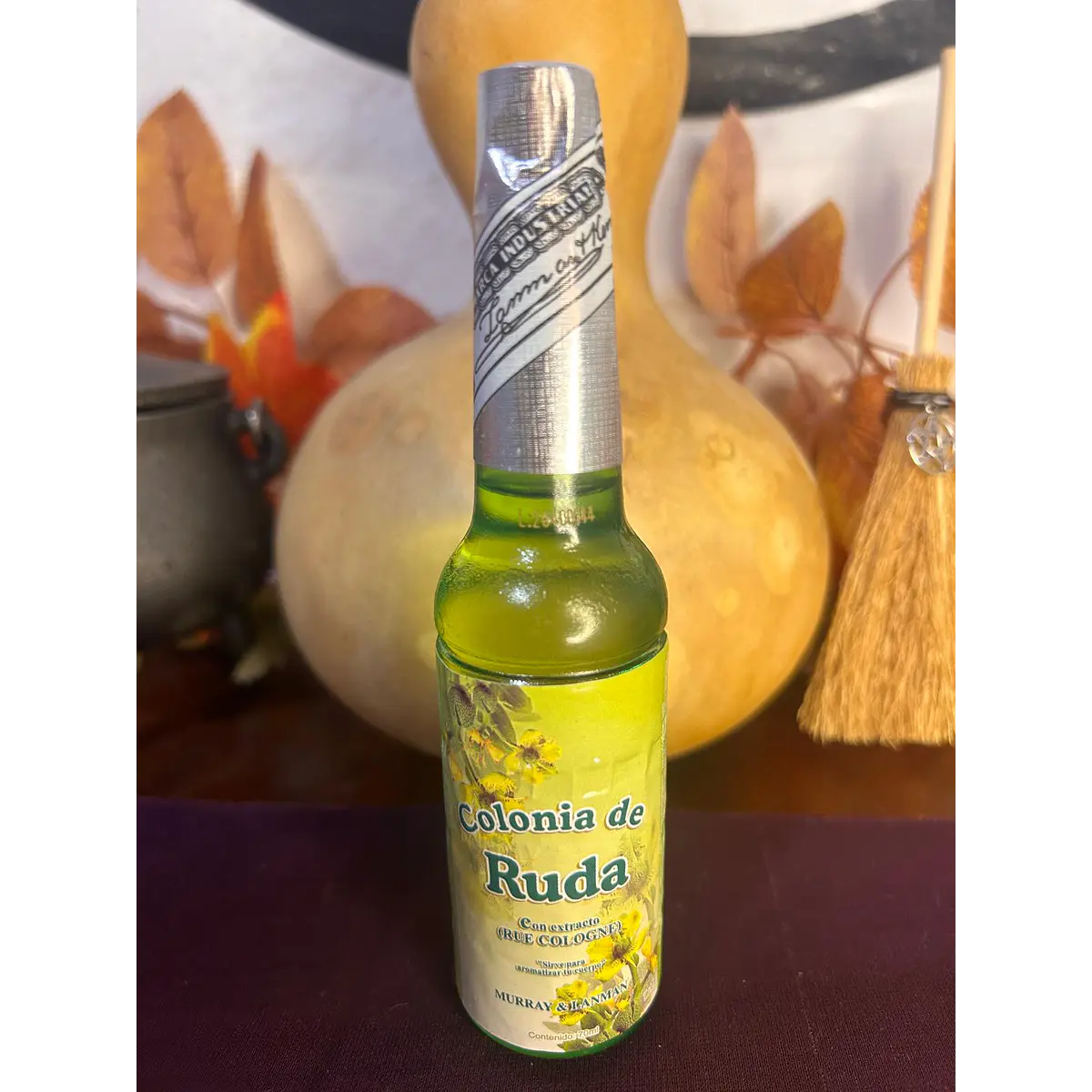 COLONIA DE RUDA