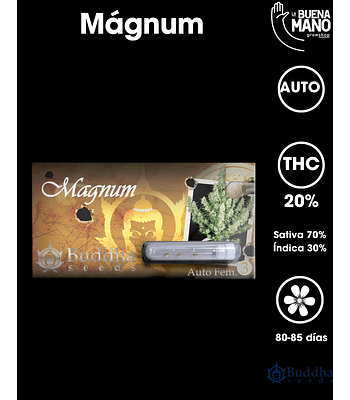 La Buena Mano Store - Growshop Online Chile. Venta de Semillas de ...