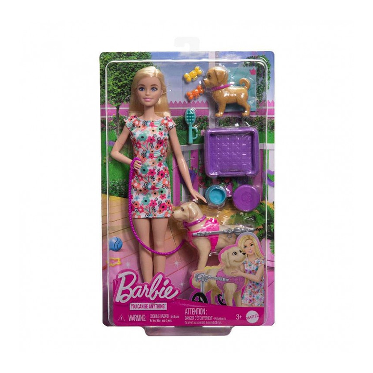 Barbie Paseo Con Perrito En Silla De Ruedas