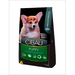 Amino Lite Buffet Gato 20 Kg