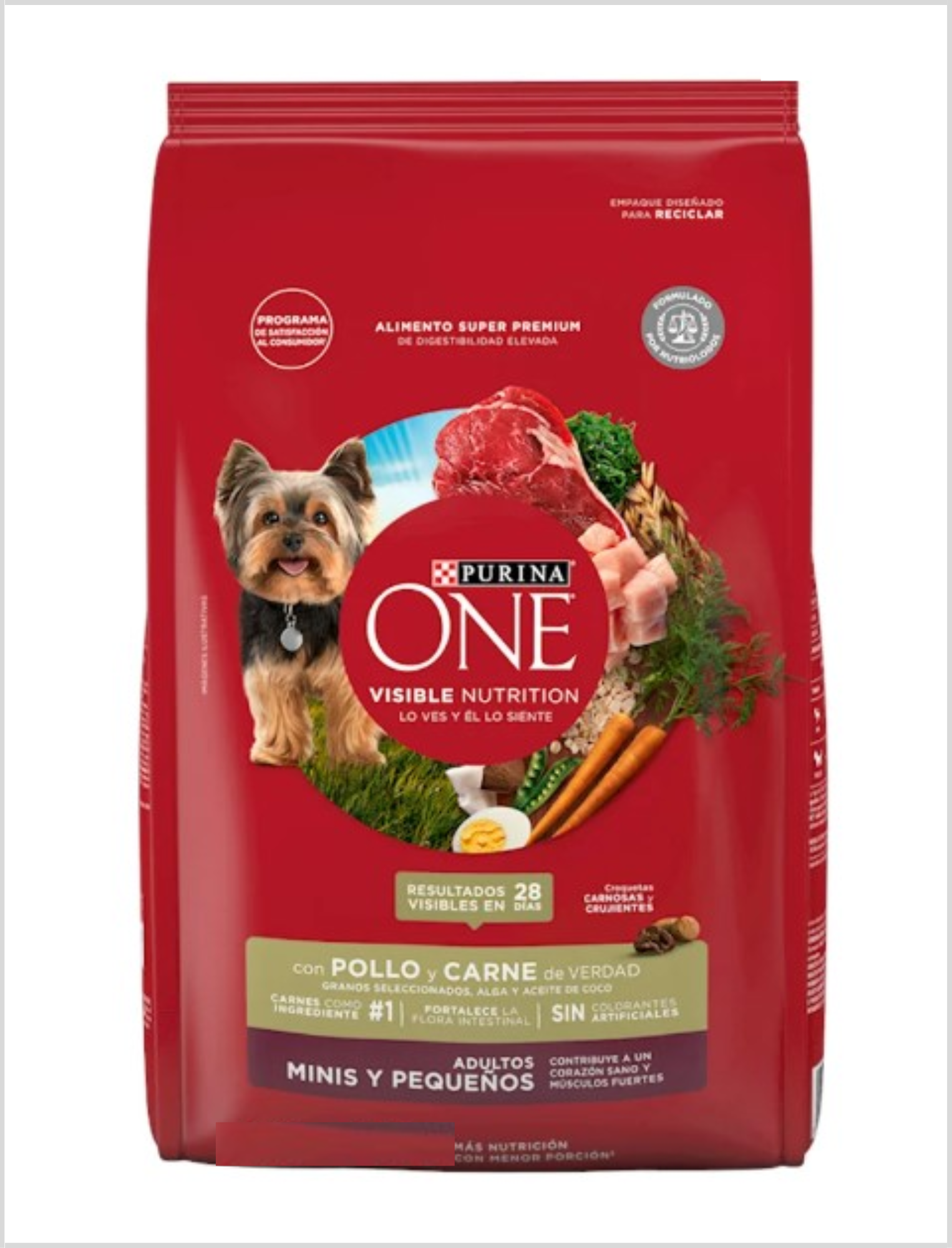 One Adulto Raza Pequeña Carne 2 Kg