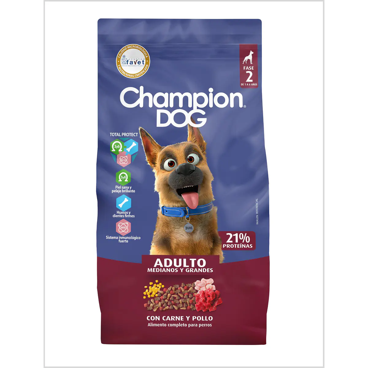Champion Dog