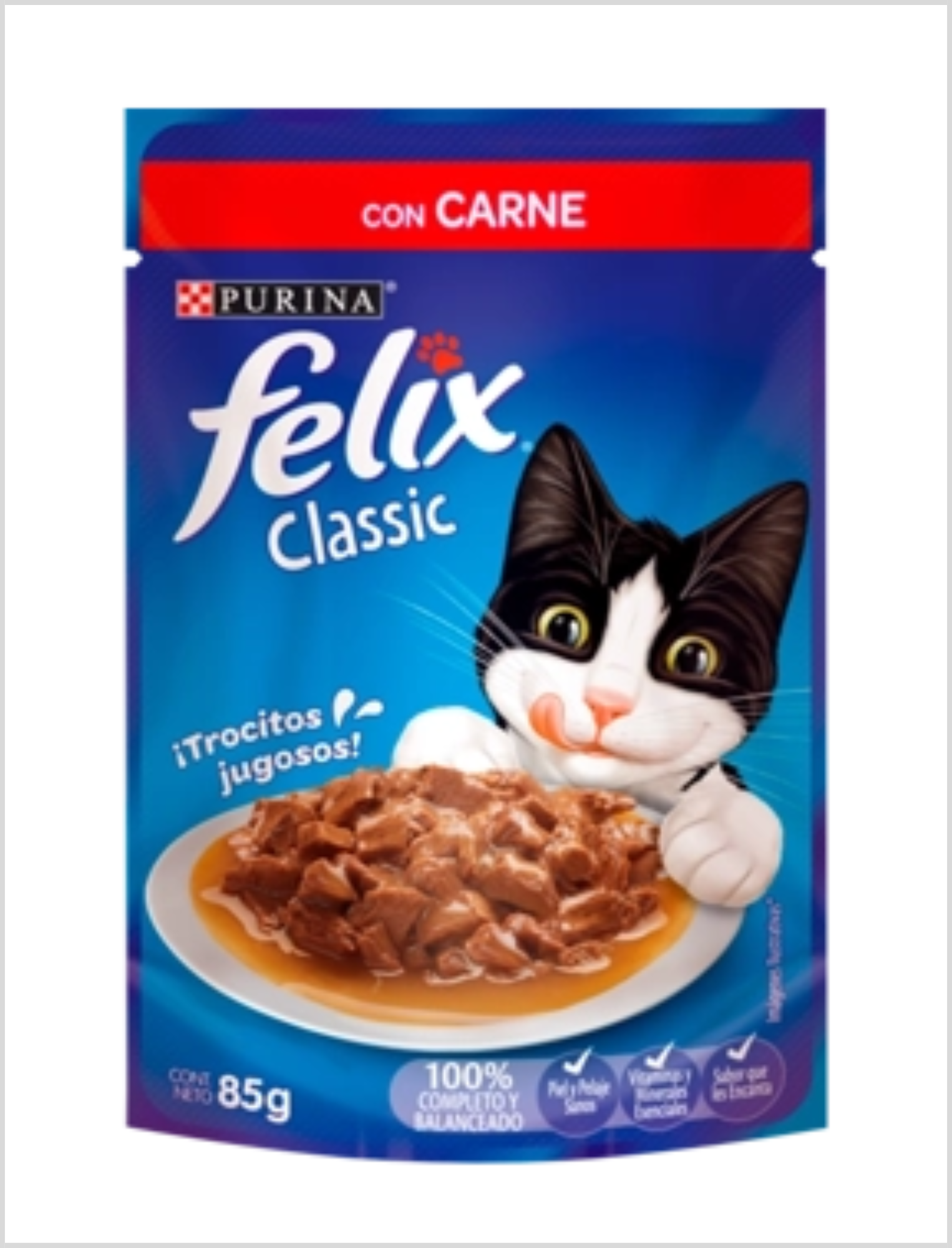 Felix Sachet Carne