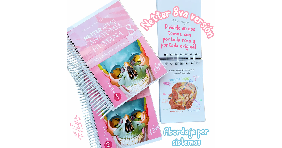 Atlas de Anatomía - Netter 8va Edición