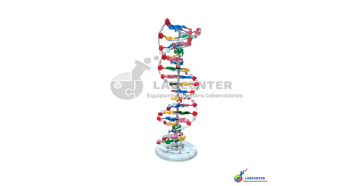 MODELO DNA DOBLE HELICE