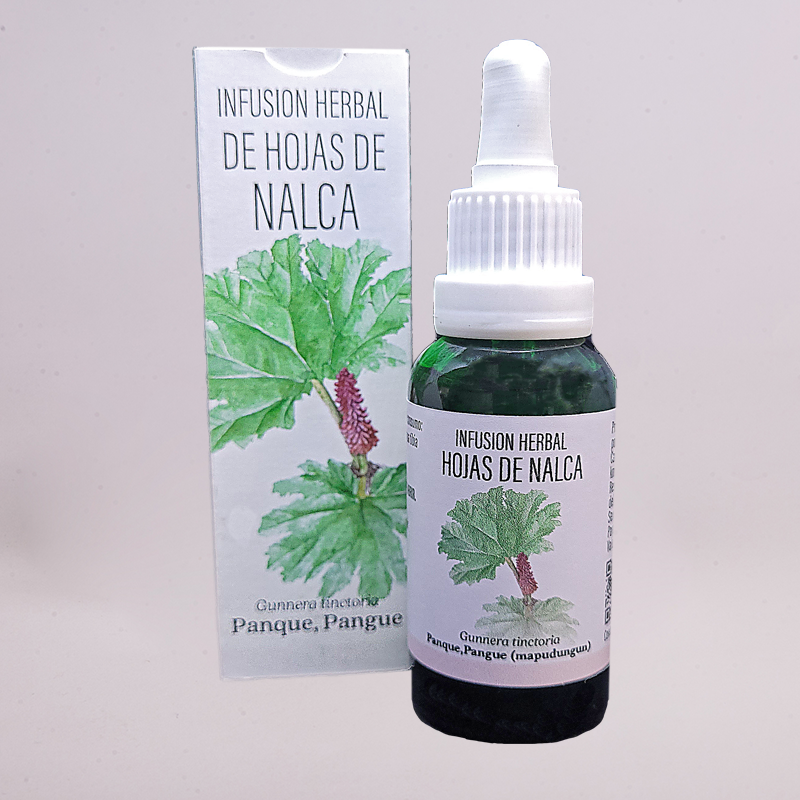 Infusión de Hojas de Nalca