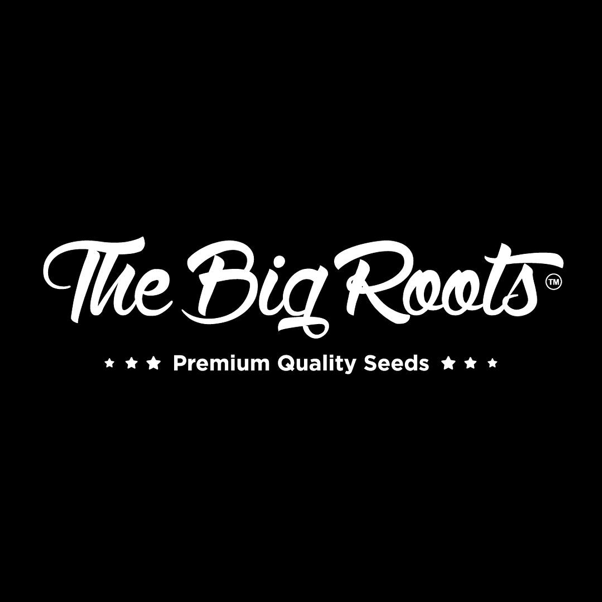 THE BIG ROOTS