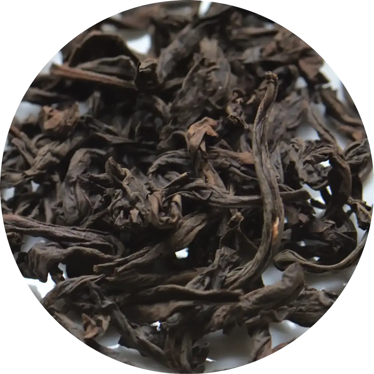 Té Oolong Puro