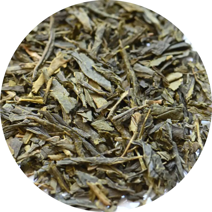 Té verde chino estilo Sencha