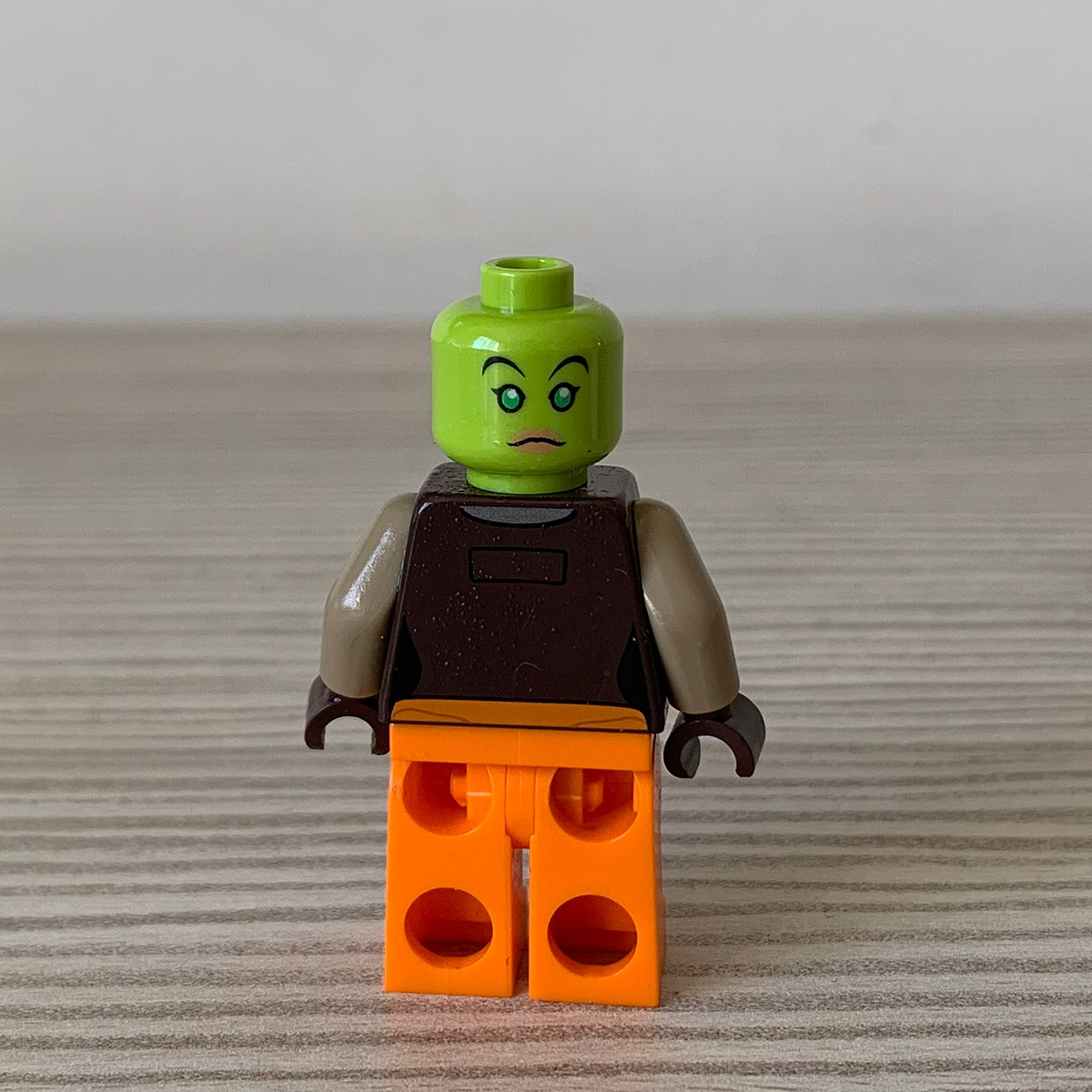 Hera Syndulla | Brick Shipping Chile®