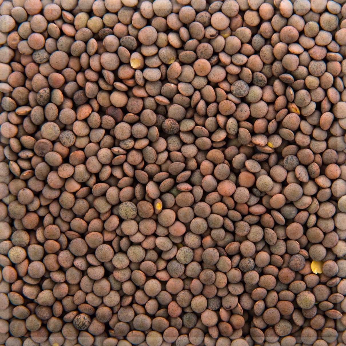 Lenteja normal a granel - Tienda Lenut