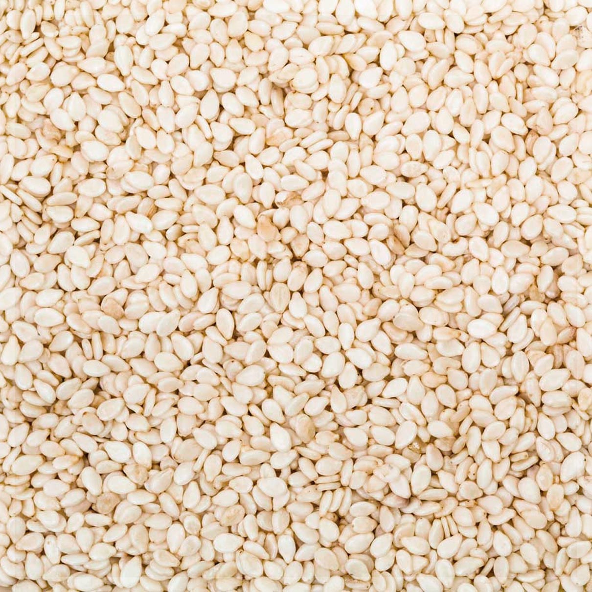 Semillas de sésamo blanco a granel - Tienda Lenut