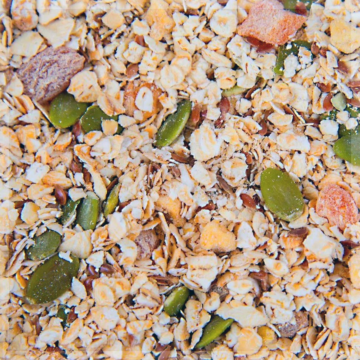 Muesli avena frutal a granel - Tienda Lenut