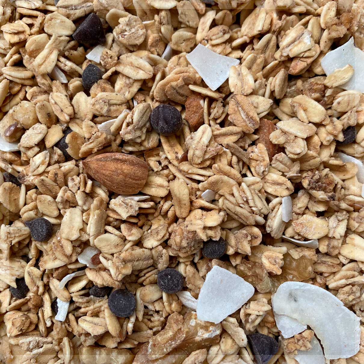 Granola choco chips a granel - Tienda Lenut