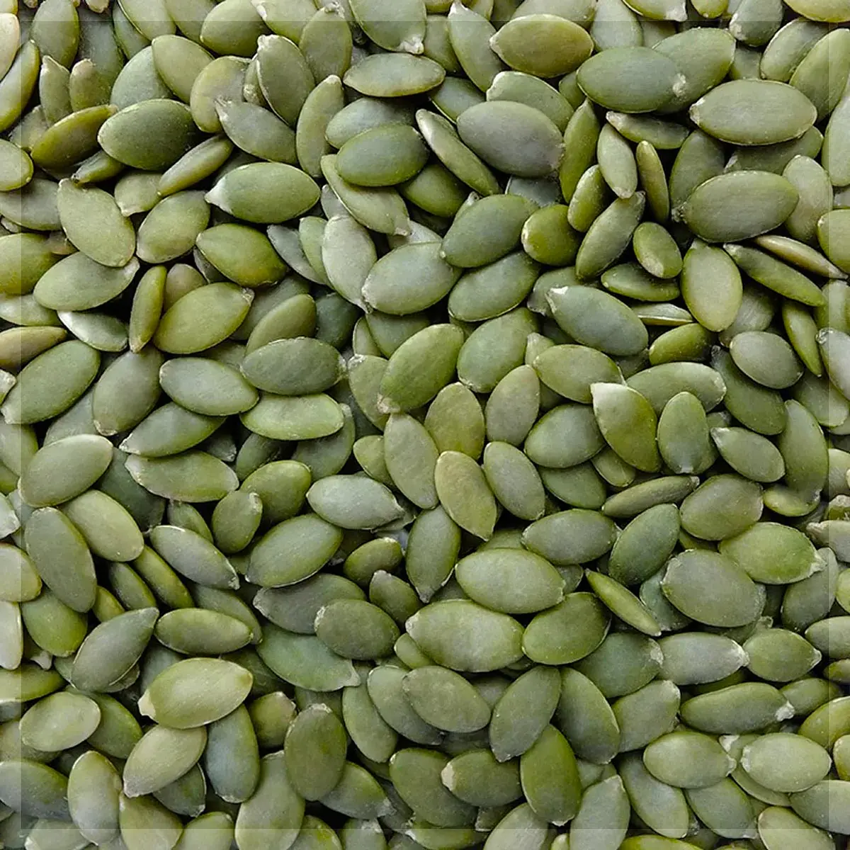 Semillas de zapallo a granel - Tienda Lenut