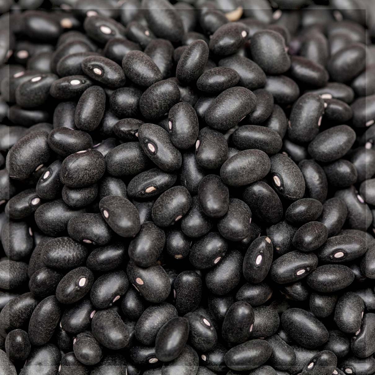 Poroto negro a granel - Tienda Lenut