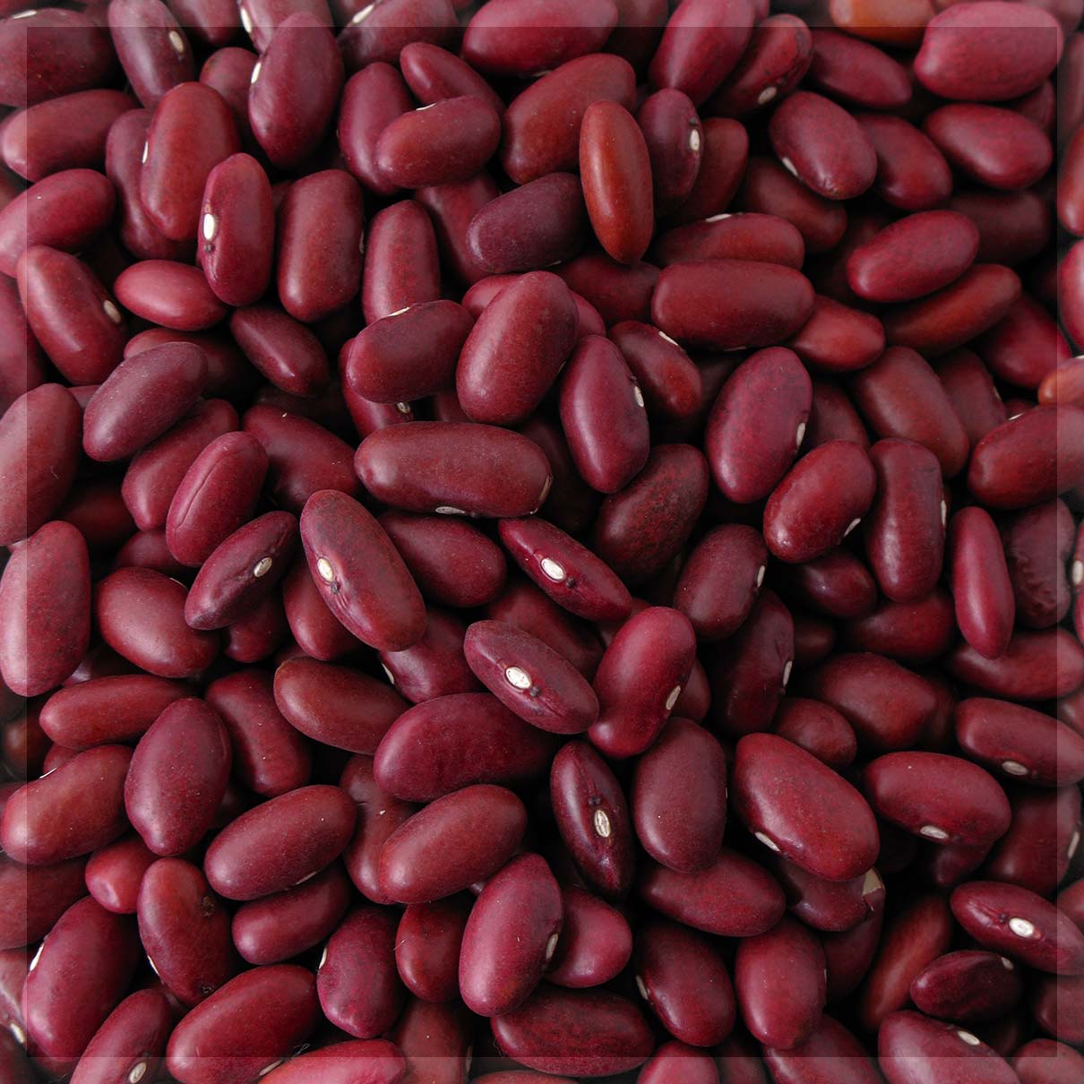 Poroto rojo a granel - Tienda Lenut