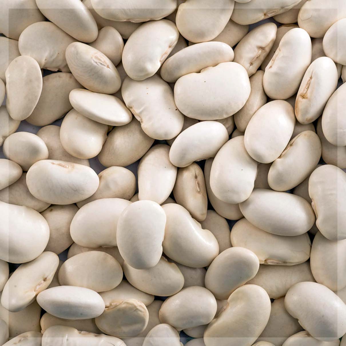 Poroto pallar a granel - Tienda Lenut