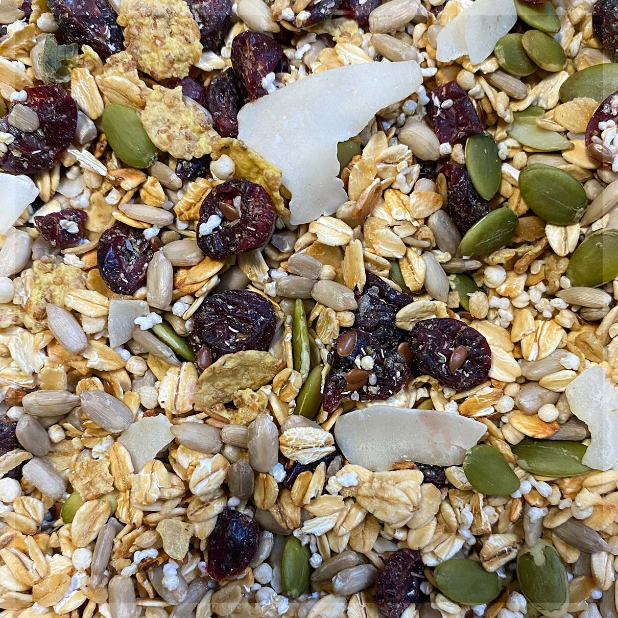 Granola tradicional a granel - Tienda Lenut