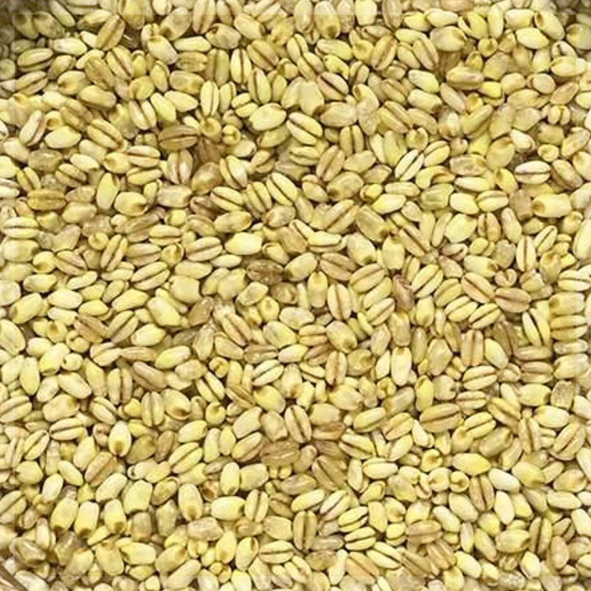 Trigo Mote Crudo a granel - Tienda Lenut