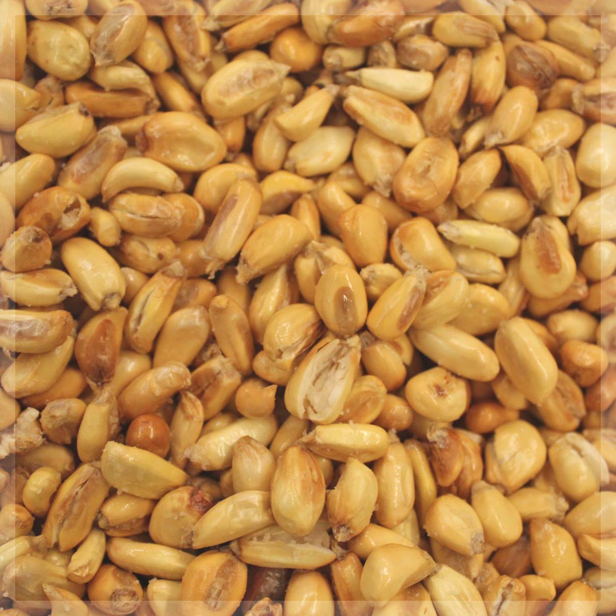 Maíz cancha a granel - Tienda Lenut