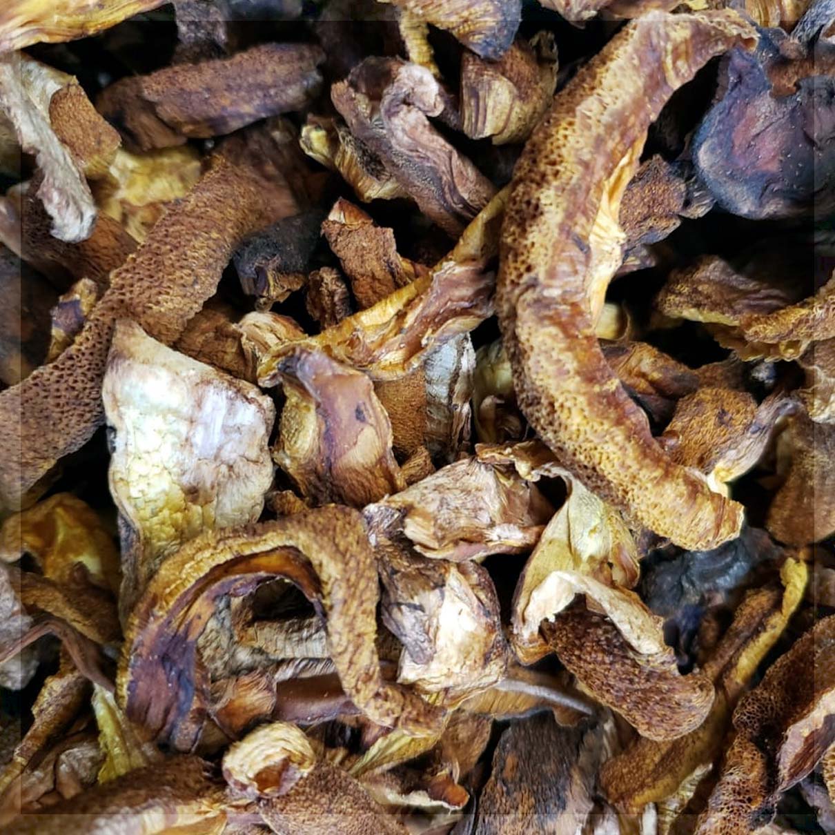 Callampas deshidratadas a granel - Tienda Lenut