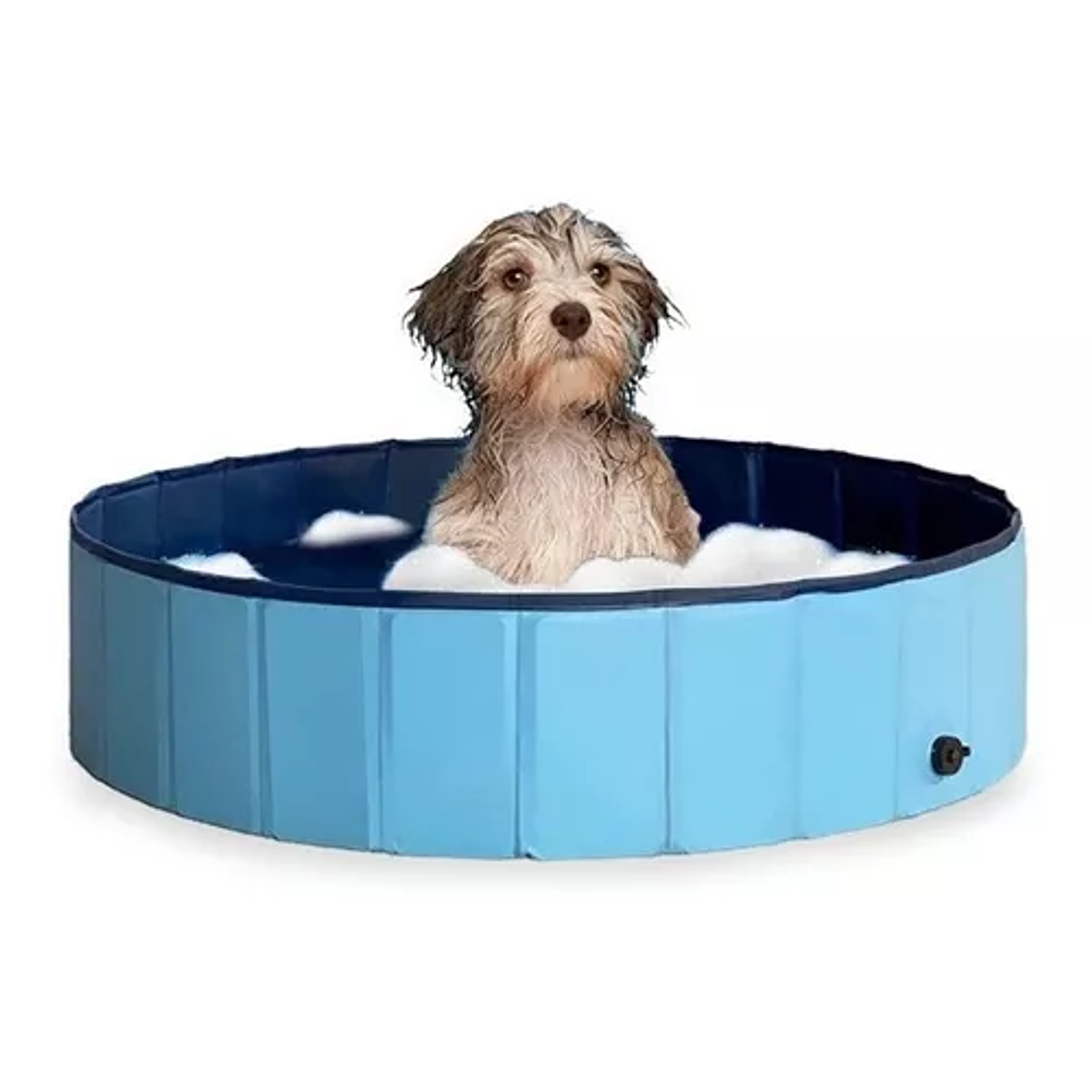 Piscina Plegable Para Perros Para Mascotas 80 X 20 Cm | León Import