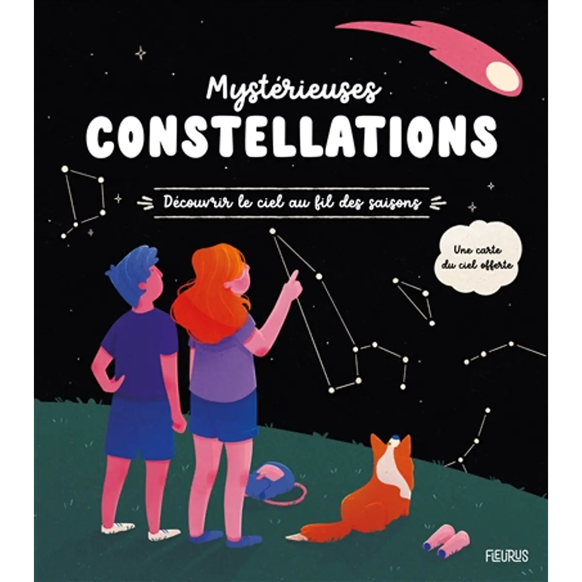 Mystérieuses constellations : découvrir le ciel au fil des s