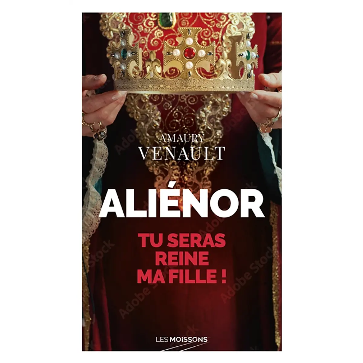 Aliénor d'Aquitaine - Tu seras reine ma fille !, de Amaury V