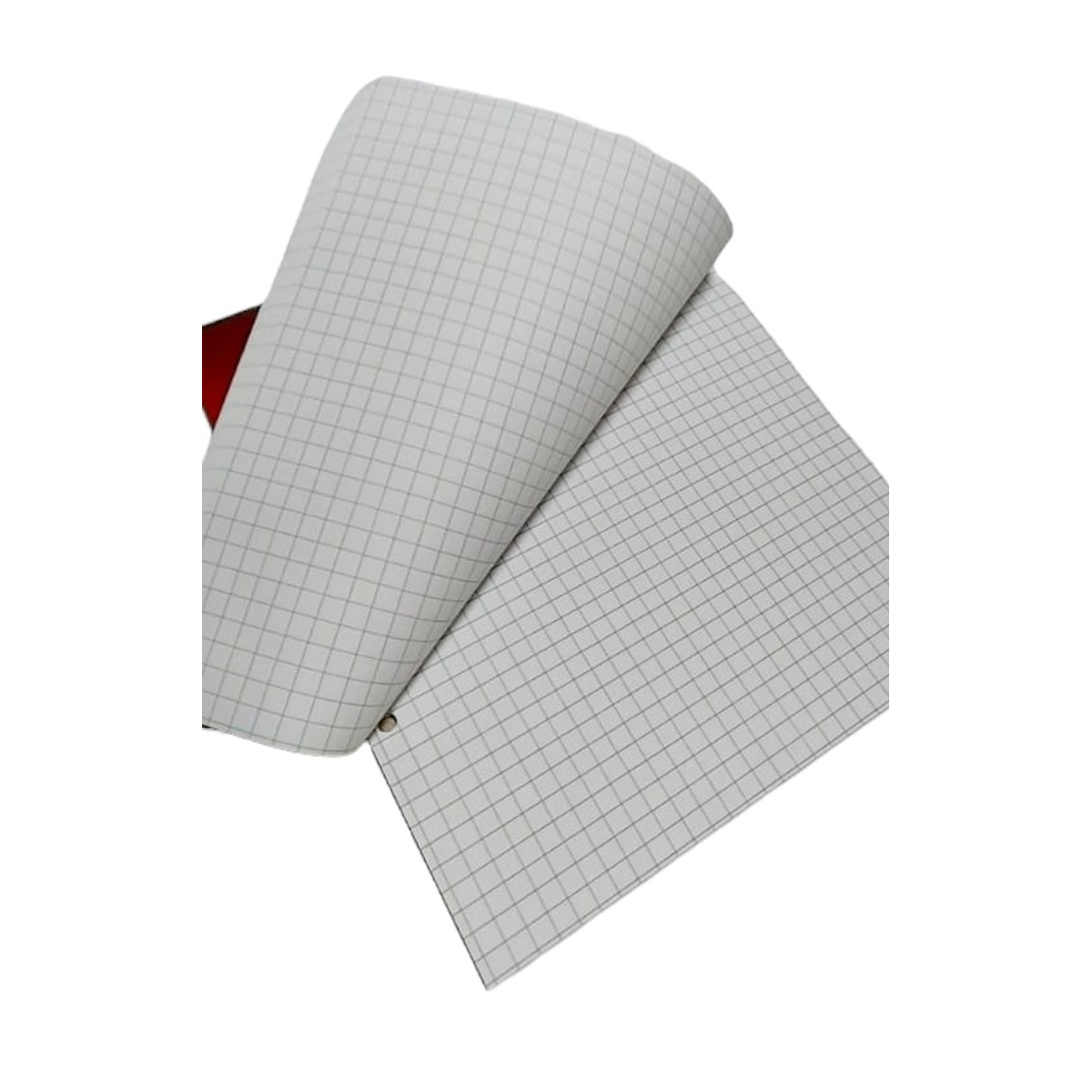 Block prepicado y perforado tamaño carta Colon Cuadriculado