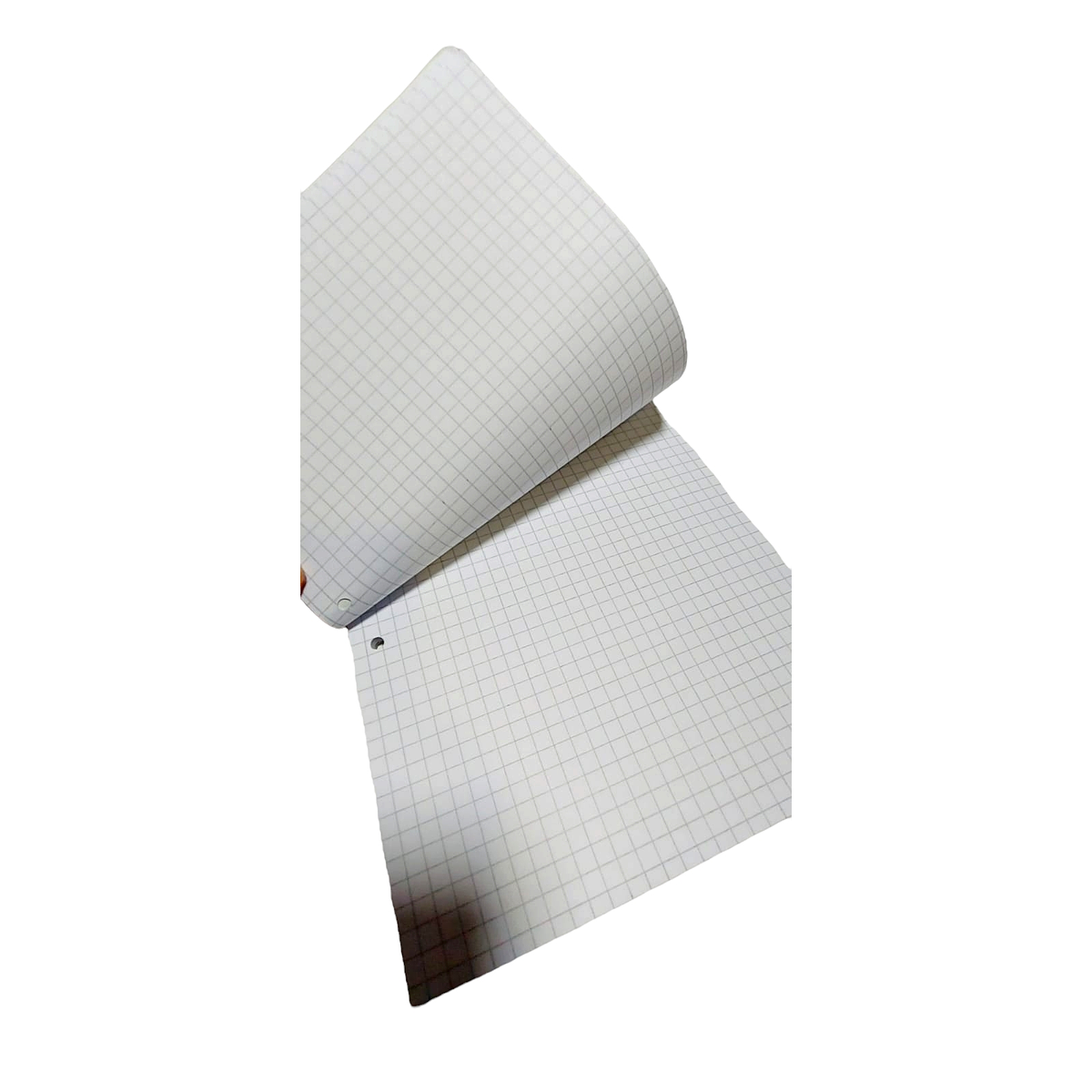 Block Prepicado Cuadriculado Oficio Capriccio