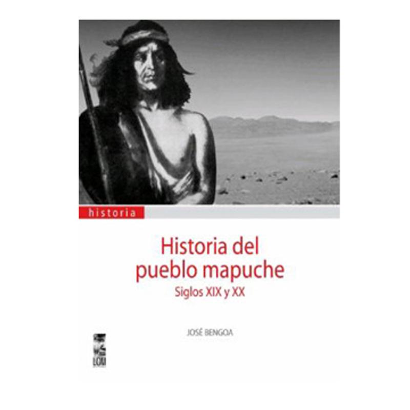 Historia del pueblo mapuche. Siglo XIX y XX