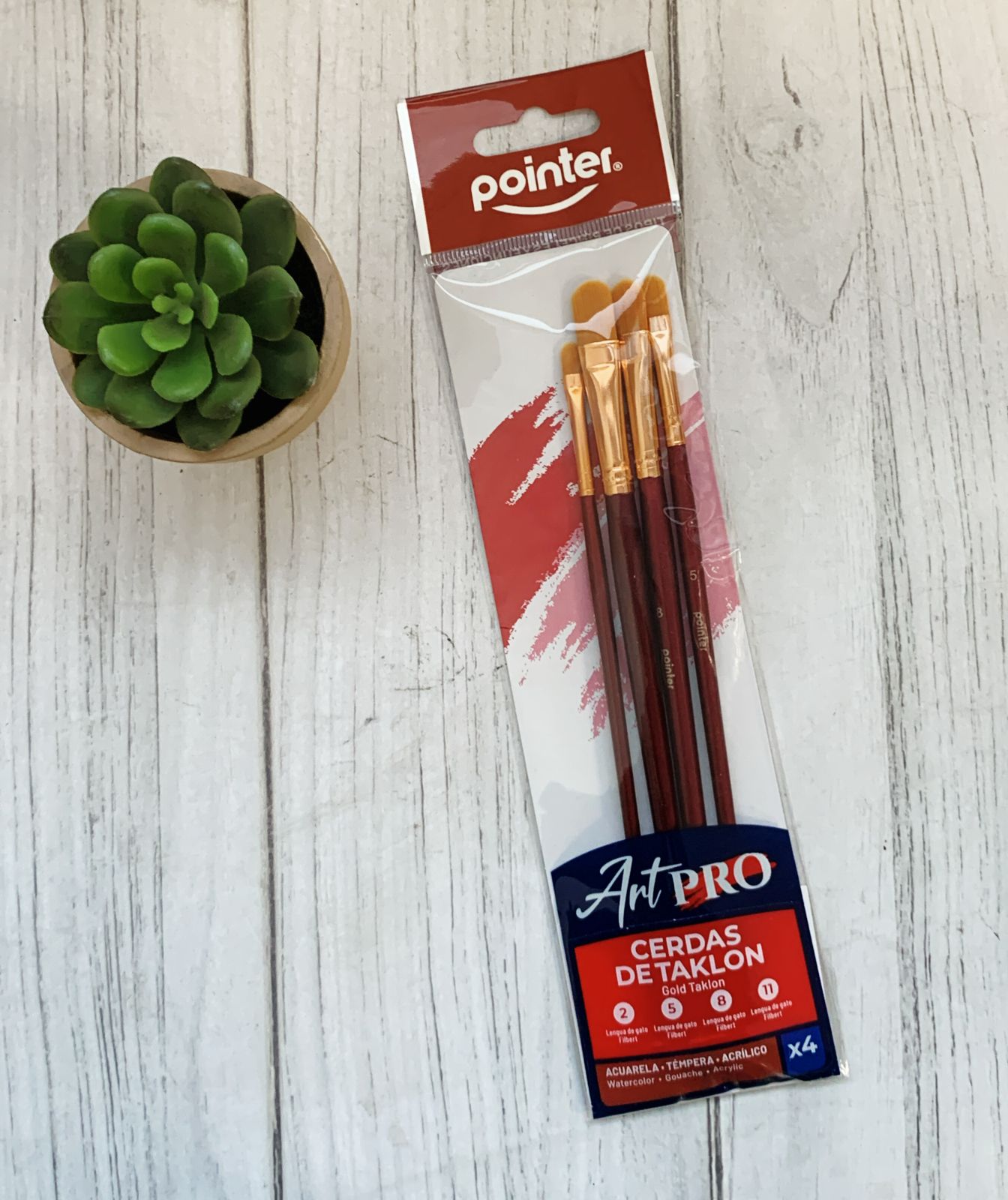 Set Pinceles 4 Und Pointer