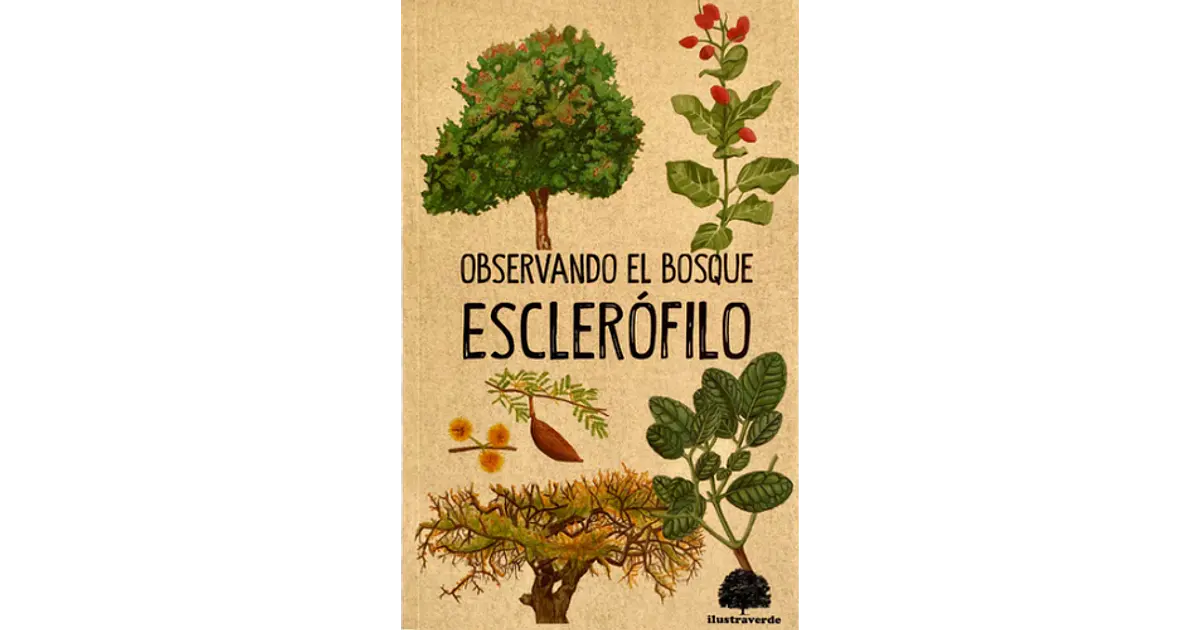 Observando El Bosque Esclerófilo