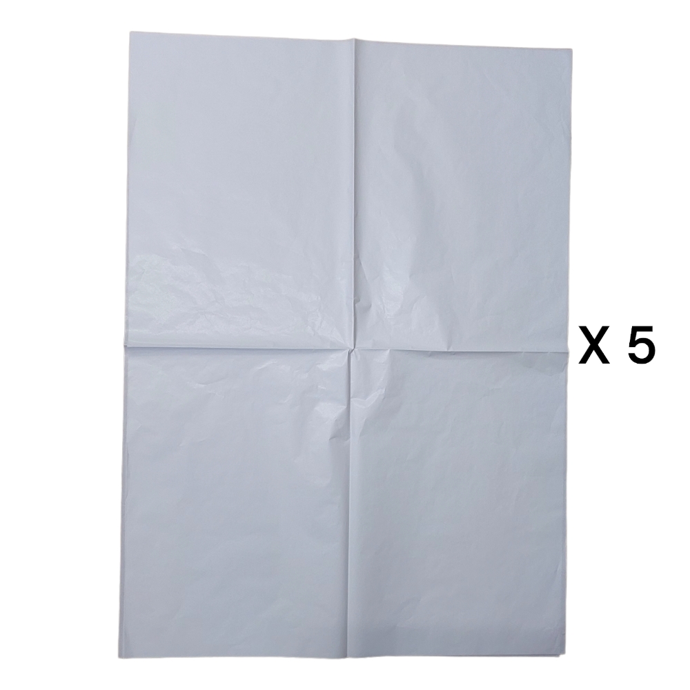 SET PAPEL SEDA BLANCO # 00 (5 pliegos)